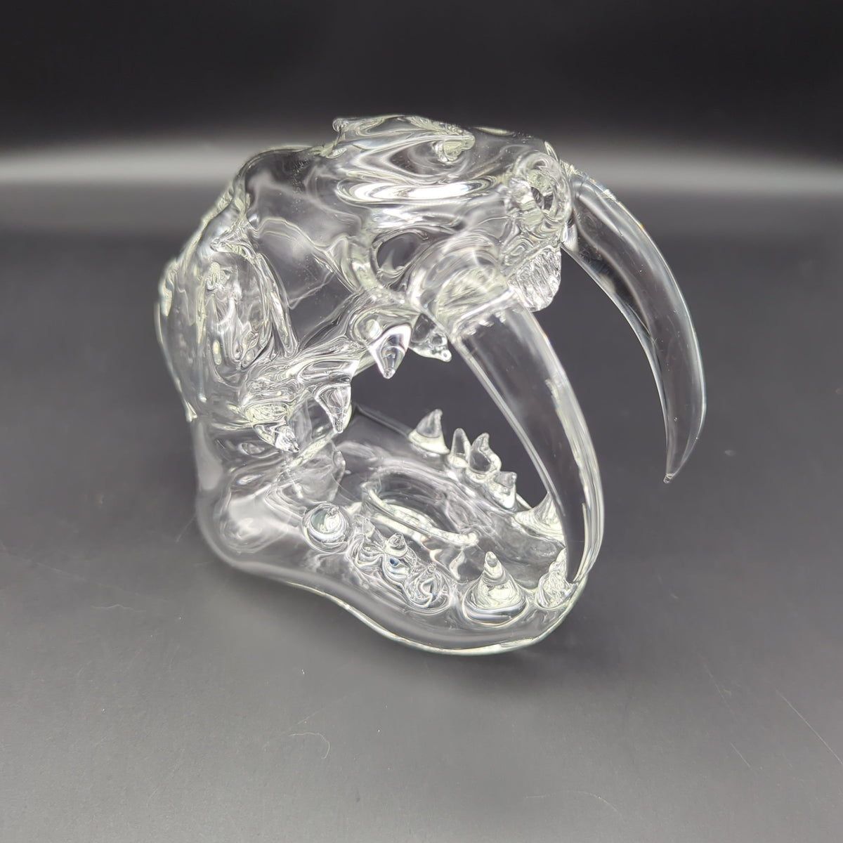Clear Sabertooth Skull Sculpture Rig - by EKA Glass – Avernic Smoke Shop