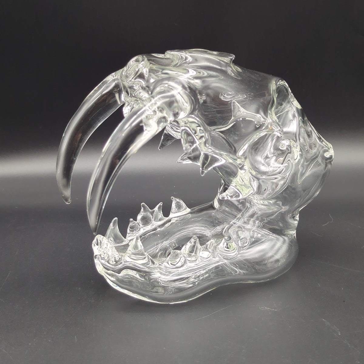 Clear Sabertooth Skull Sculpture Rig - by EKA Glass – Avernic Smoke Shop
